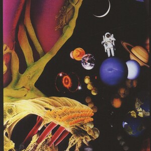 Surreal Postcard Series - by DANGER / Fathom Press - 18 Card Set - Etsy