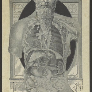 Surreal Postcard Series - by DANGER / Fathom Press - 18 Card Set - Etsy