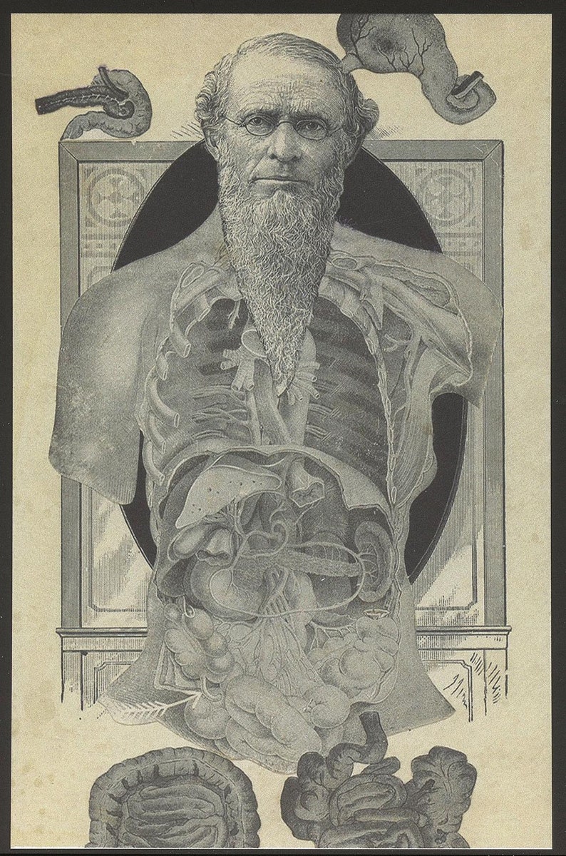 Surreal Postcard Series by DANGER / Fathom Press 18 Card - Etsy