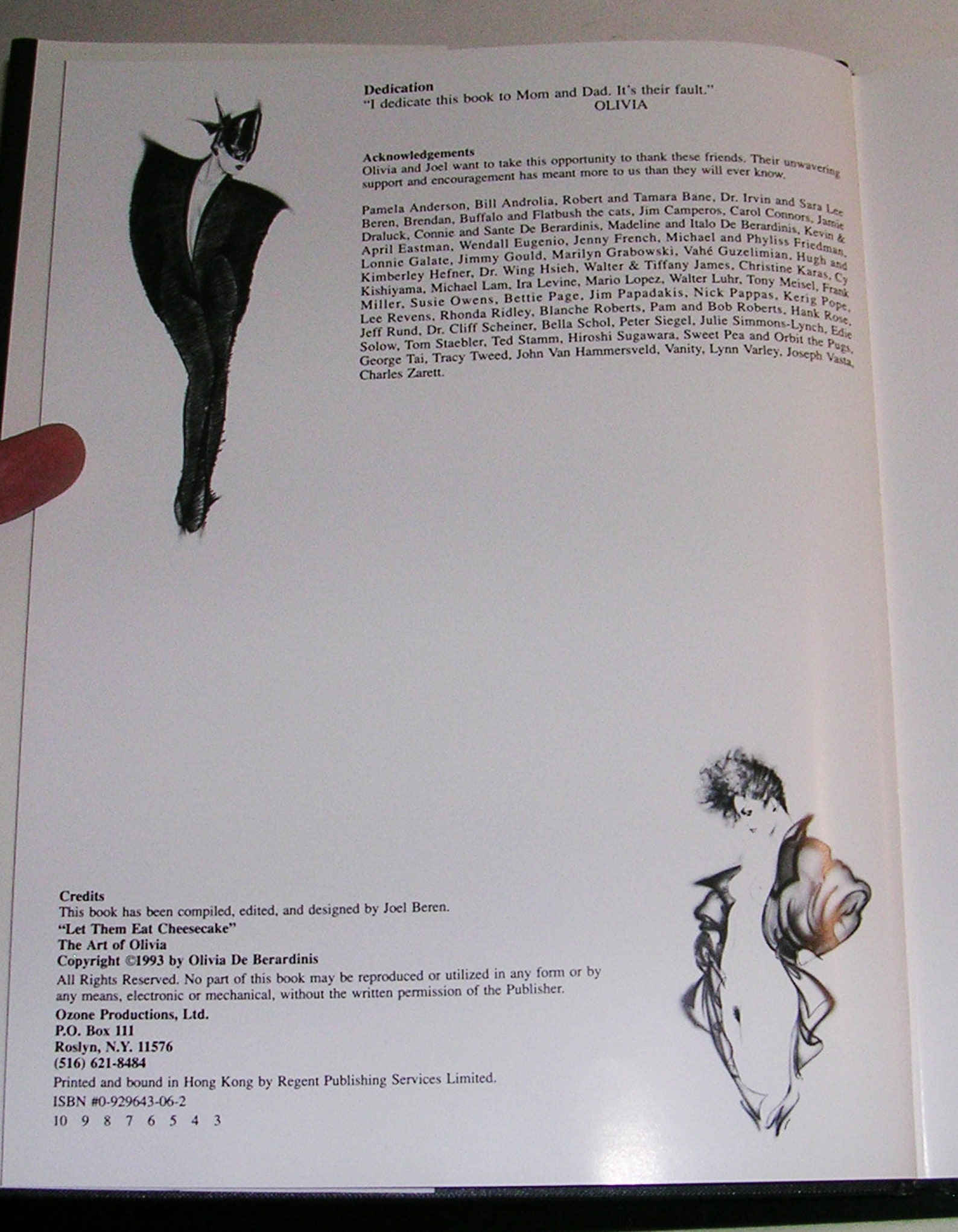 The CHEESECAKE ART of Olivia Pin up Girls / Fantasy Girls / - Etsy