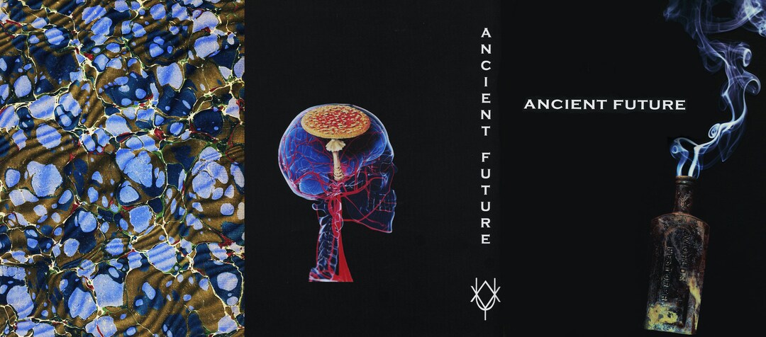 Collage Art ANCIENT FUTURE: the Unknown Collage Art of DANGER Aka Dan ...