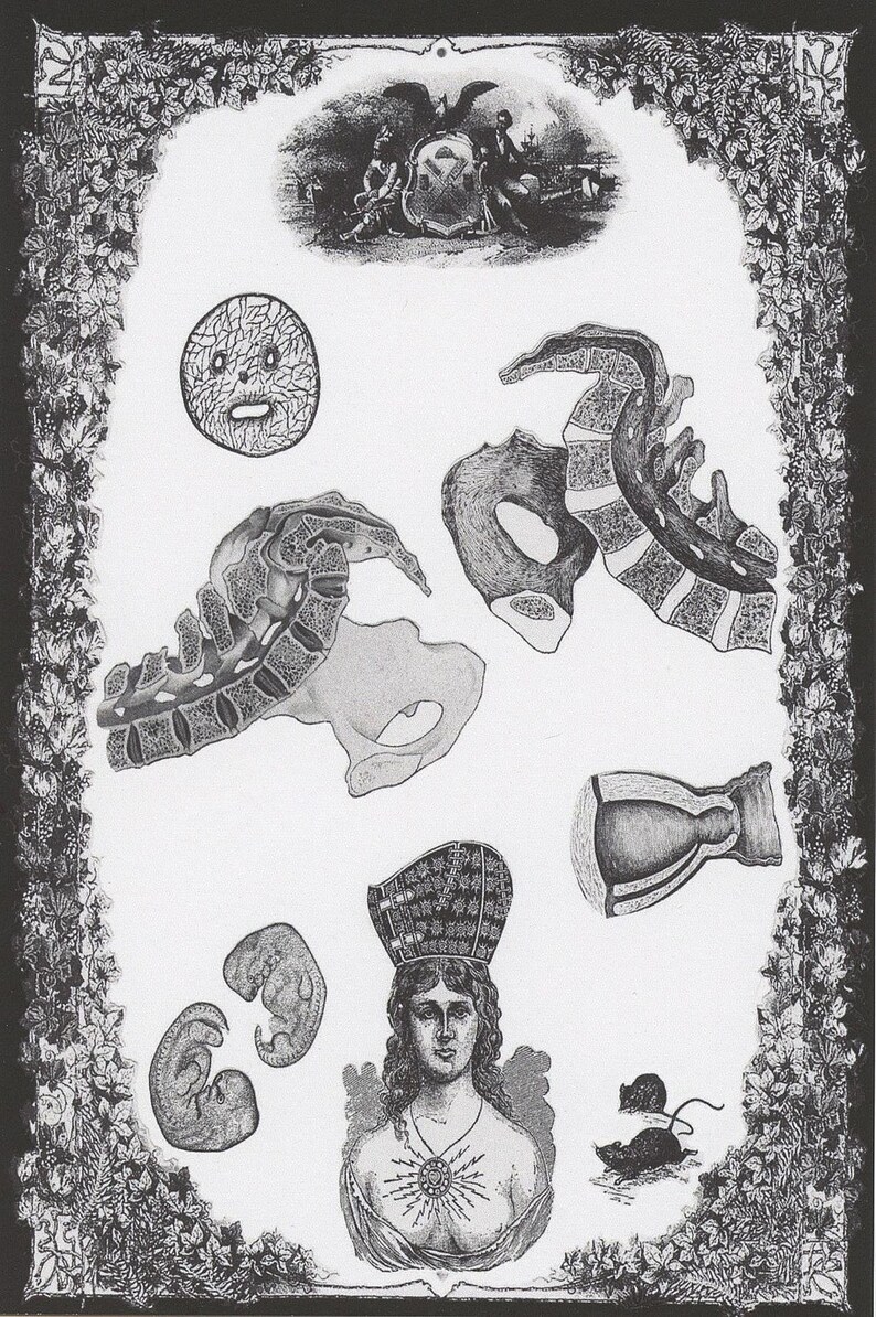 Surreal Postcard Series by DANGER / Fathom Press 18 Card - Etsy