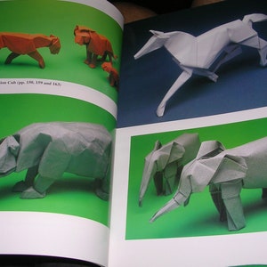 Brilliant ORIGAMI: How to Fold Art - by David Brill - Guide Book / Art ...