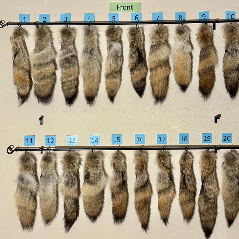 Coyote Therian Mask - Etsy