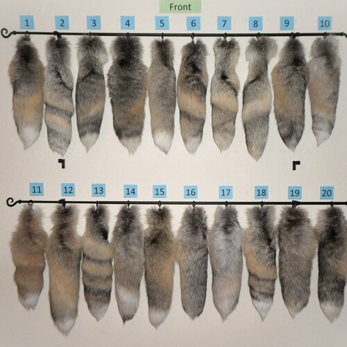 Eco Friendly Platinum Fox Tails - Etsy