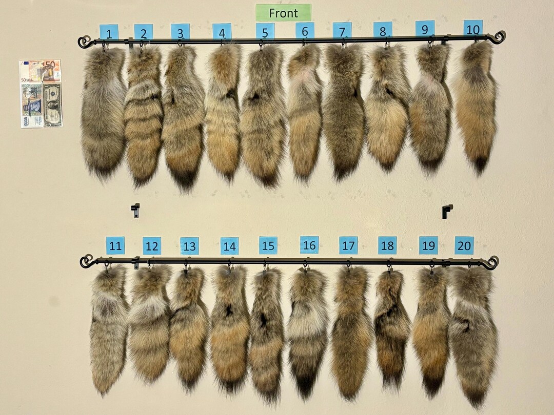 Eco Friendly Coyote Tails - Etsy