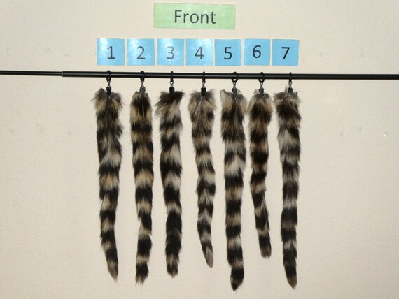 Eco Friendly Ringtail Tails | Etsy