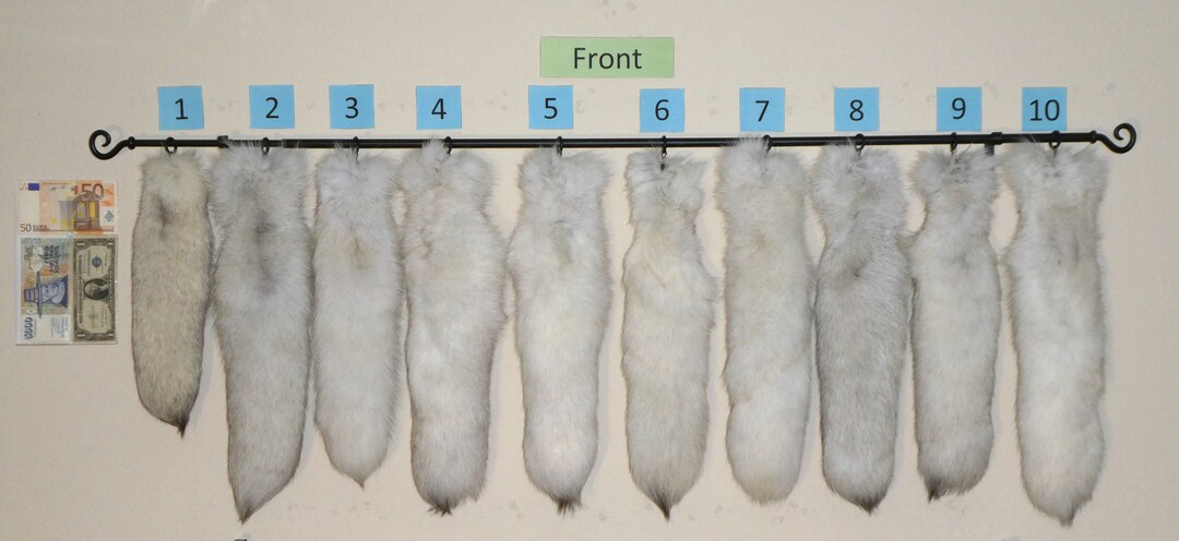 Eco Friendly Blue Fox Tails - Etsy