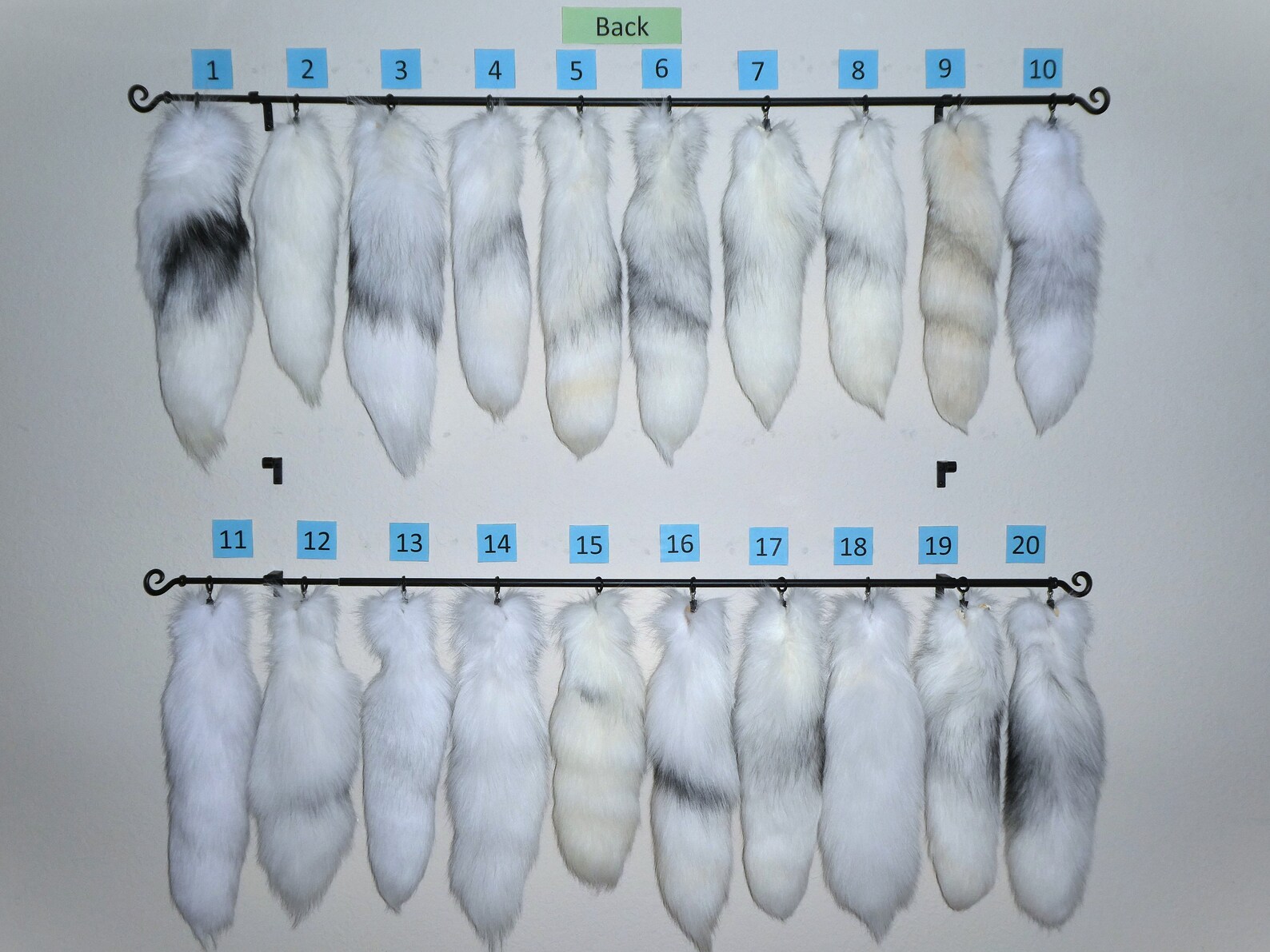 Eco Friendly Platinum Fox Tails - Etsy