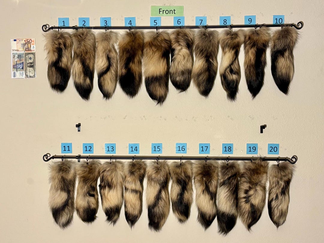 Eco Friendly Finnish Raccoon (tanuki) Tails - Etsy