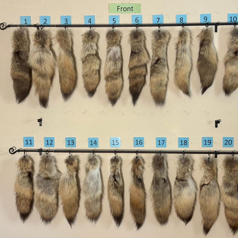Coyotes Tails - Etsy
