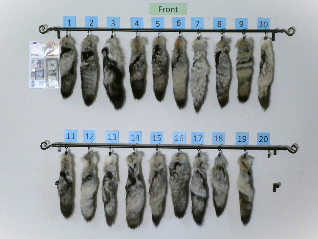 Eco Friendly Kit Fox Tails - Etsy