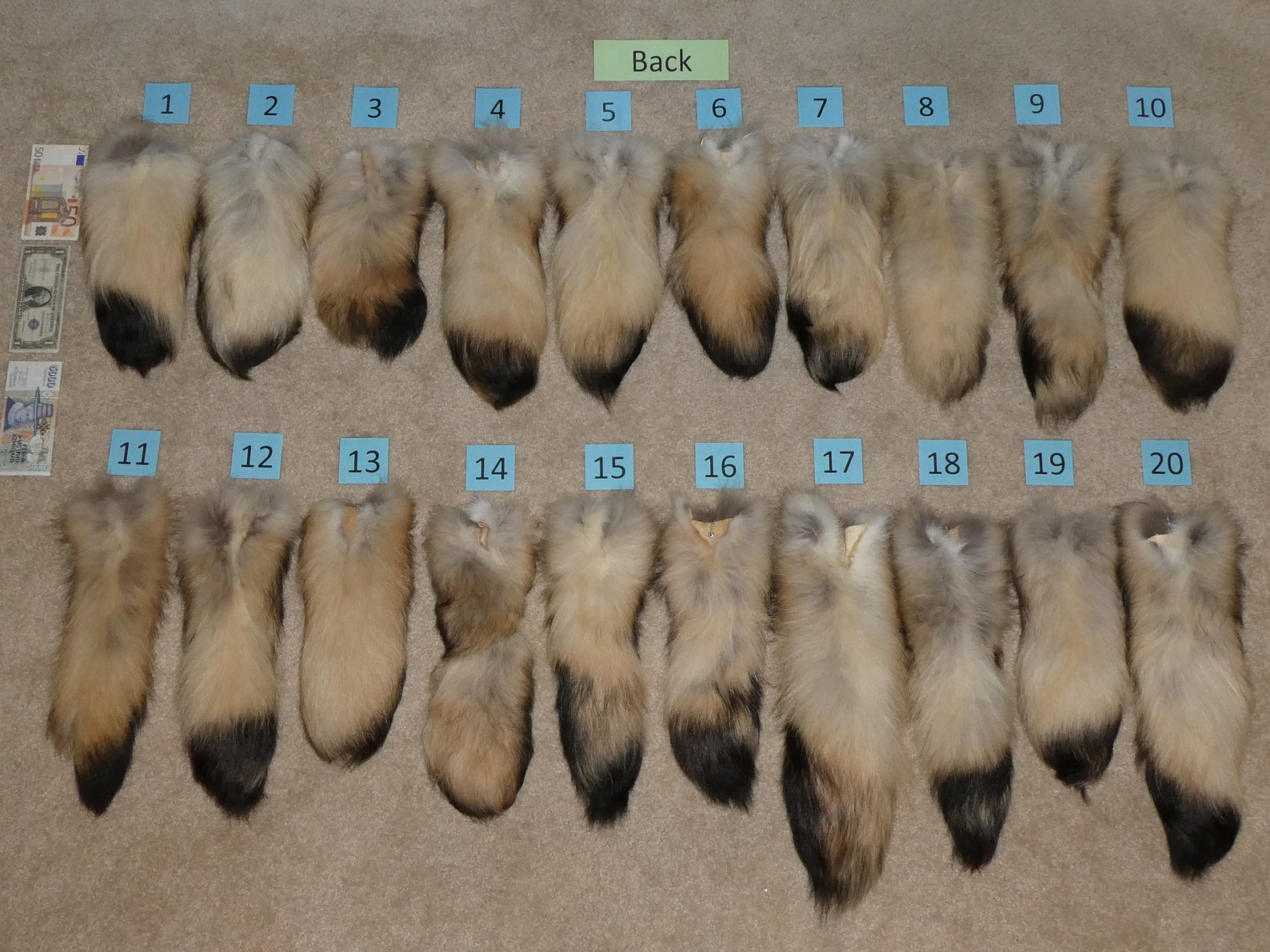 Eco Friendly Finnish Raccoon Tanuki Tails | Etsy