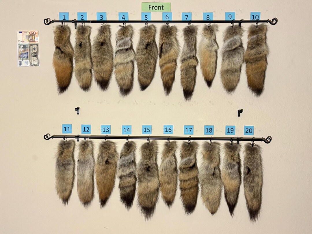 Eco Friendly Coyote Tails - Etsy