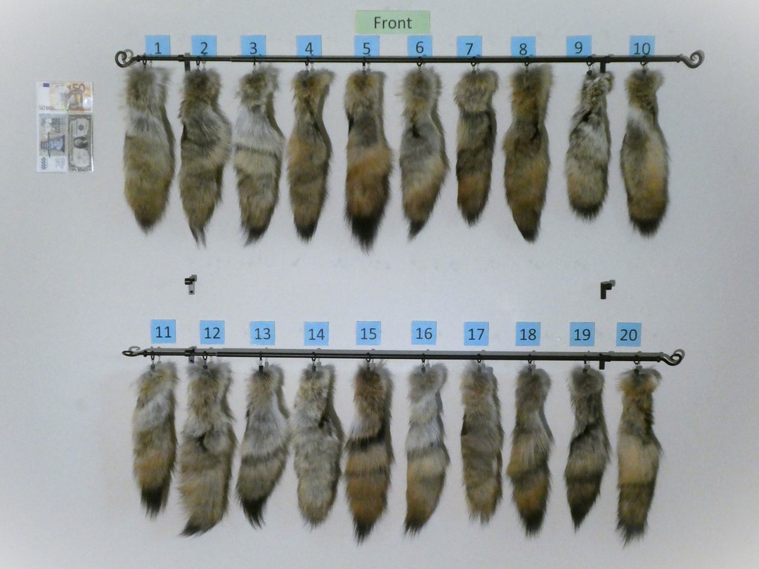 Eco Friendly Coyote Tails - Etsy