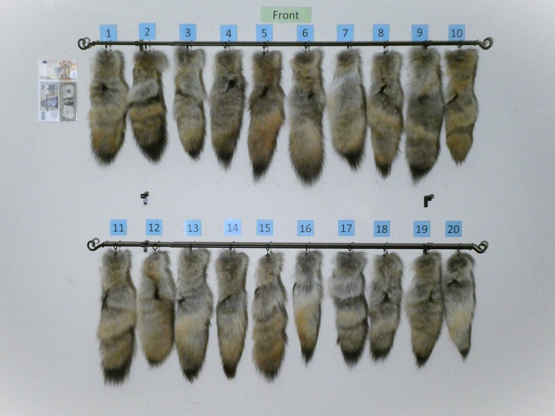 Eco Friendly Coyote Tails - Etsy