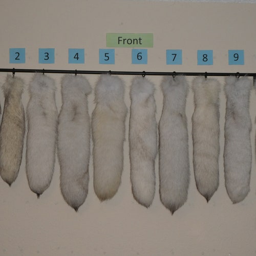 Eco Friendly Platinum Fox Tails - Etsy