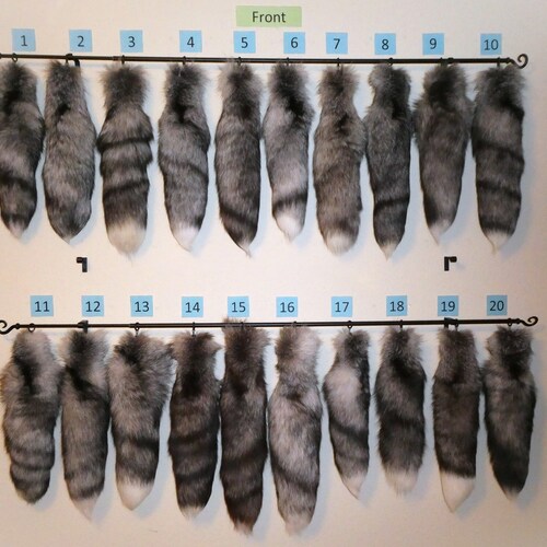Eco Friendly Platinum Fox Tails - Etsy