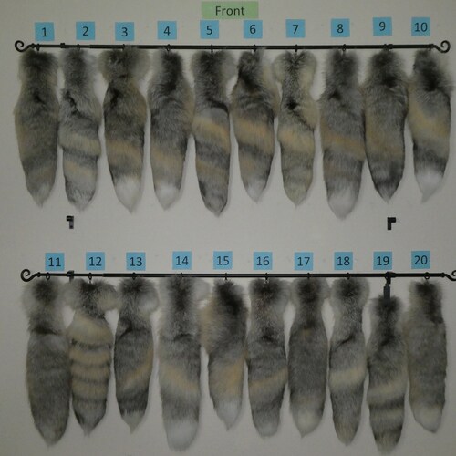 Eco Friendly Frost/indigo Fox Tails | Etsy