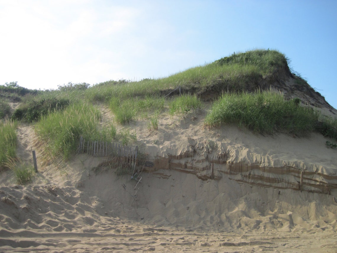 Wellfleet Beachcomber Dune, Coastal Photography, Cape Cod Photography ...