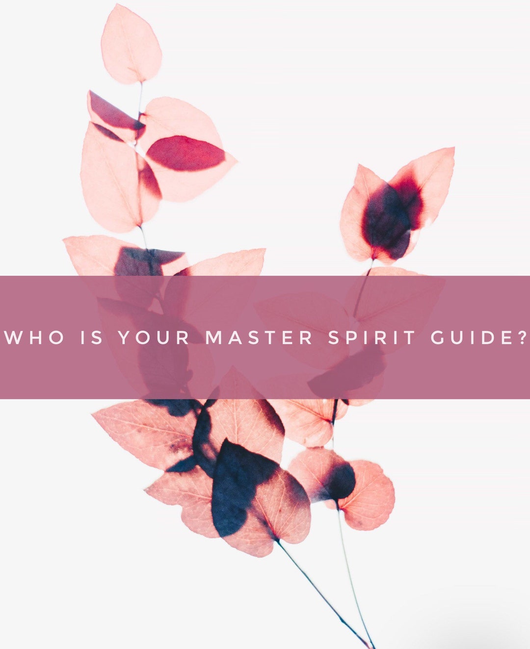 Who is Your Master Spirit Guide? • Psychic Readings • Mediumship ...