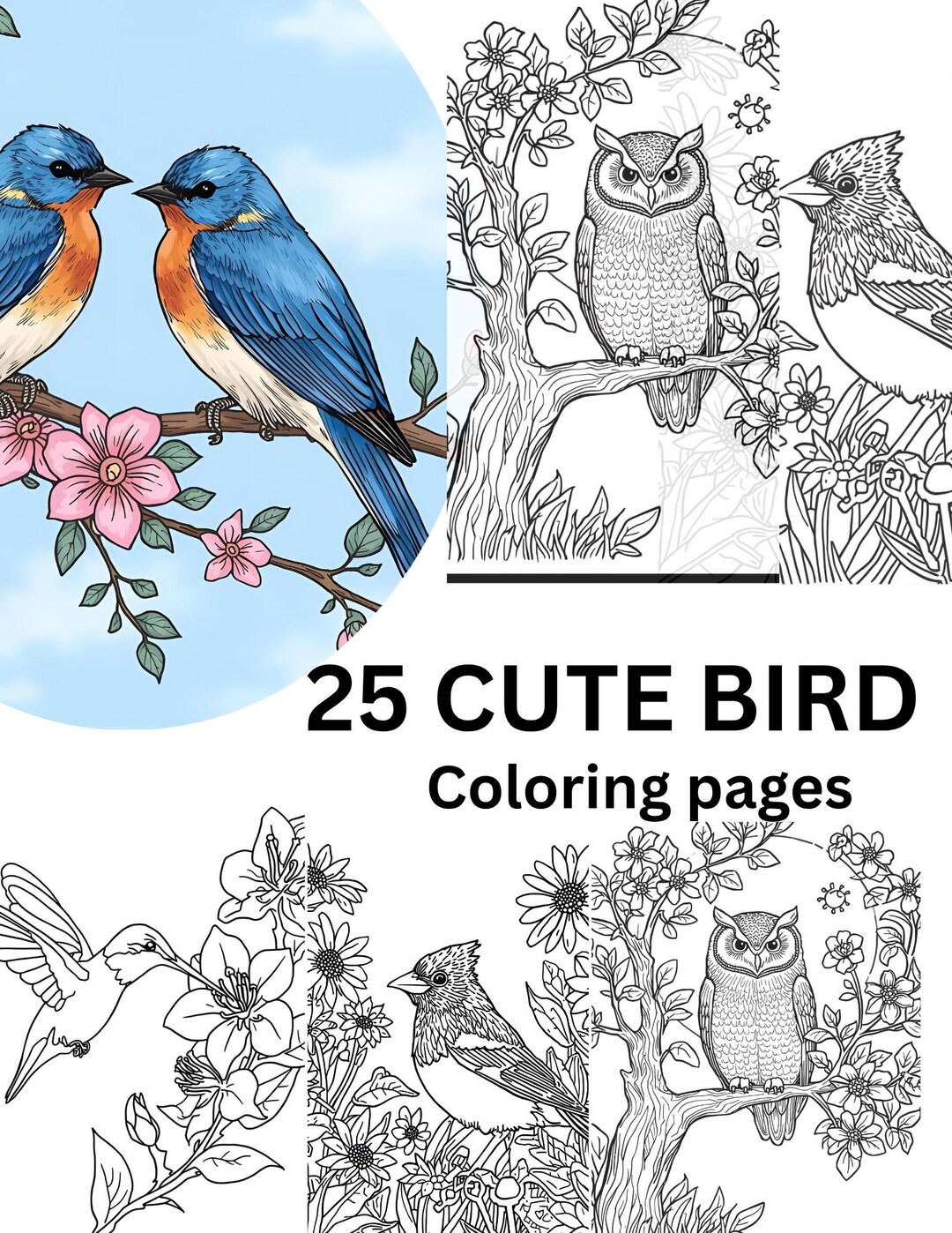 25 Cute Birds Coloring Page,adult and Kids Coloring Book,digital ...