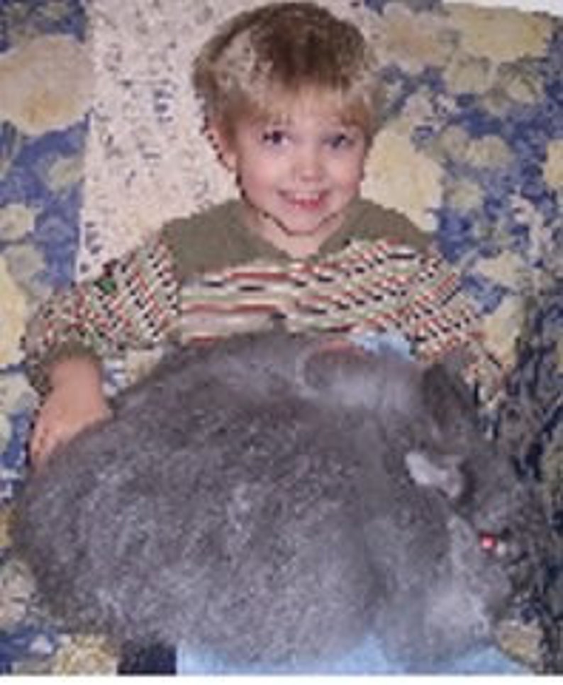 Custom Pet Hair Spinning - Dog, Cat or Rabbit Let Me Spin Your Pet's ...