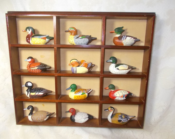 Vintage 1984 Enesco Wood Display/shadow Box With 12 Miniature Duck ...
