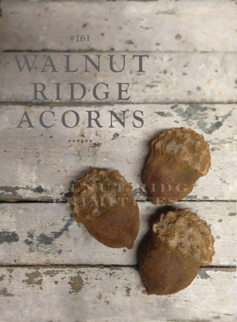 Primitive Fall Acorns Instant Download Pattern by Walnut Ridge ...