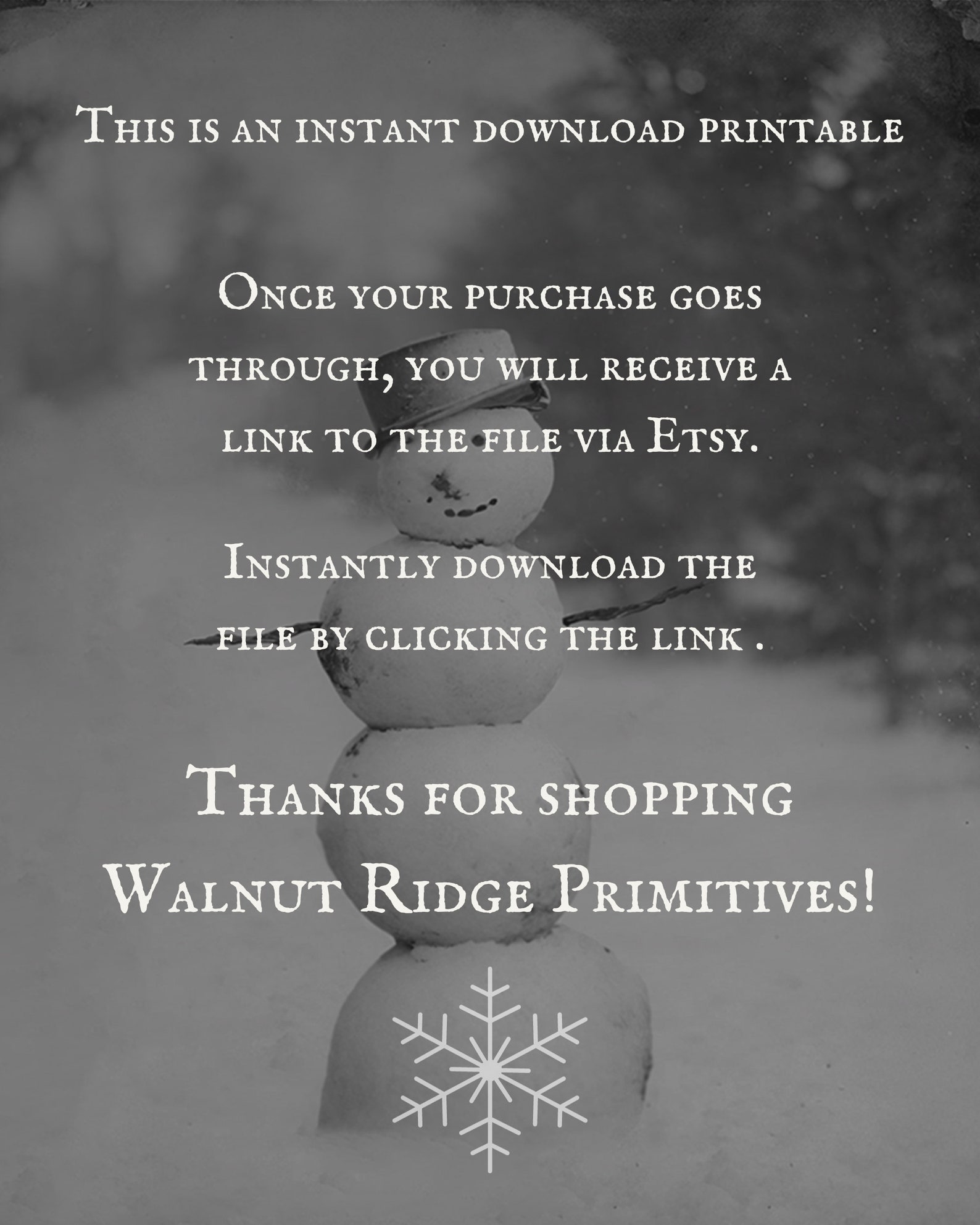 Vintage Snowman Photographs Instant Download Ornaments, Christmas ...