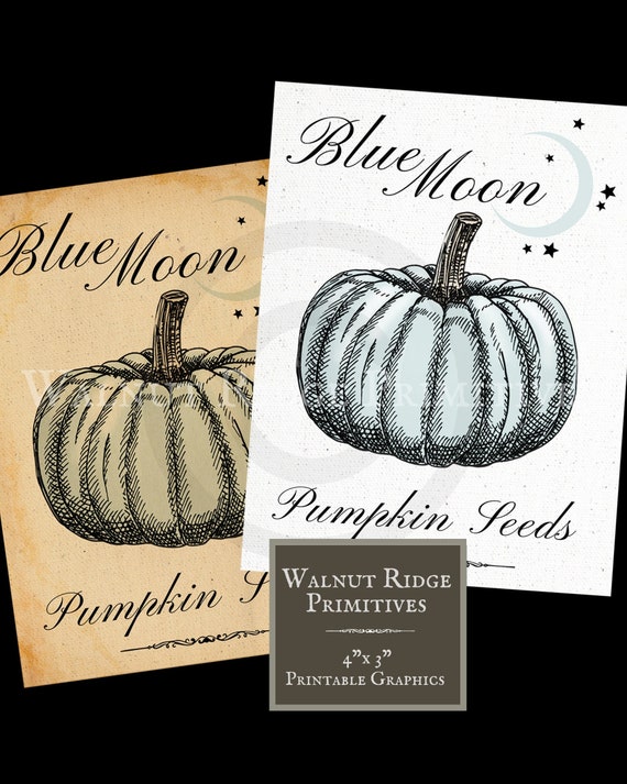 Blue Moon Pumpkin Seeds Graphics INSTANT DOWNLOAD by Walnut - Etsy