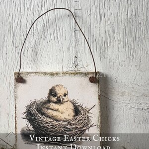 Vintage Spring Easter Chicks Instant Download Primitive Farmhouse Decor ...
