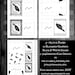 Primitive Folk Art Instant Download Blackbird Graphics Set - Etsy