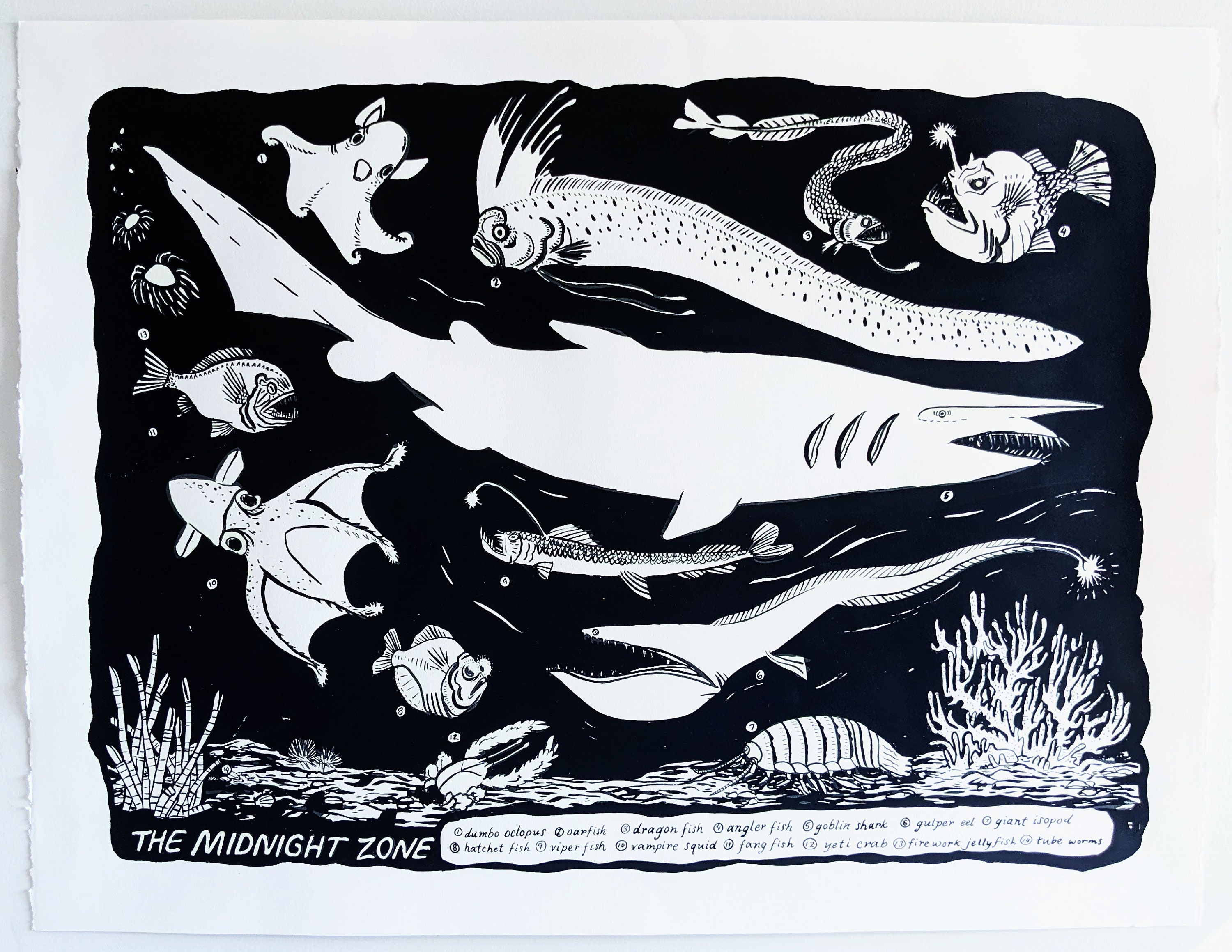 Glow in the Dark Midnight Zone Ocean Animal Screen Print - Etsy