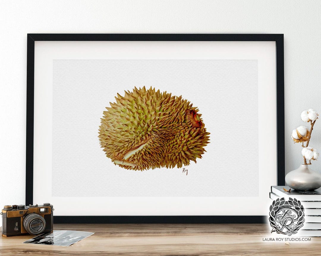 Durian Watercolor Art Print Intricate Tropical Fruit Illustration ...
