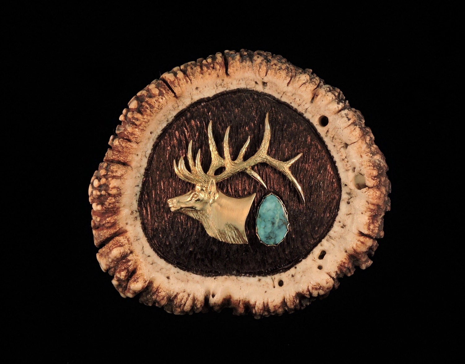 Elk Antler Pedicle Belt Buckle With 14k Yellow Gold and Turquoise - Etsy
