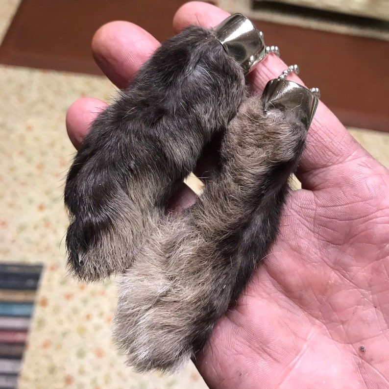 Lucky Rabbit's Foot Rare Dark Colors Genuine Rabbit's Feet Key Chains ...