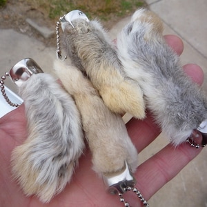 Lucky Rabbit's Foot Genuine Rabbit's Feet Key Chains Qty 4 Feet for ...