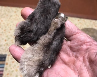 Lucky Rabbit's Foot - Etsy