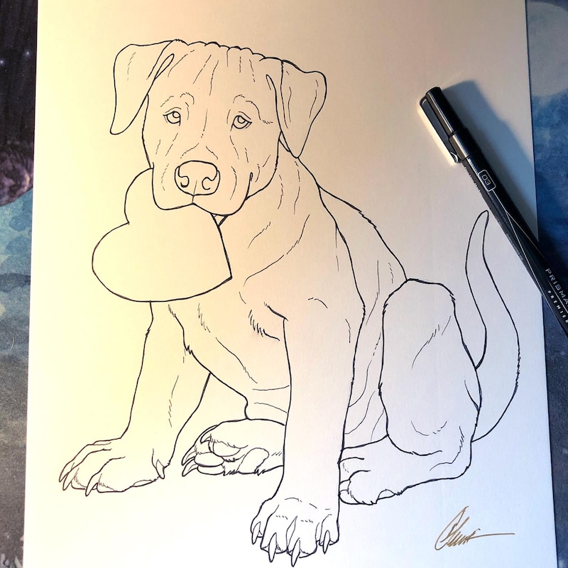 Pibble Drawing - Etsy