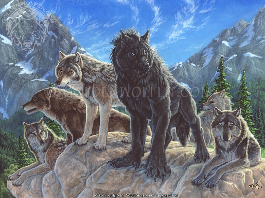 Werewolf Amongst a Pack of Wolves Print - Etsy