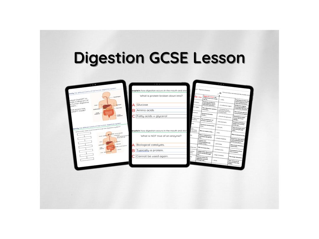 Digestion / the Digestive System GCSE Lesson. Engaging Science ...