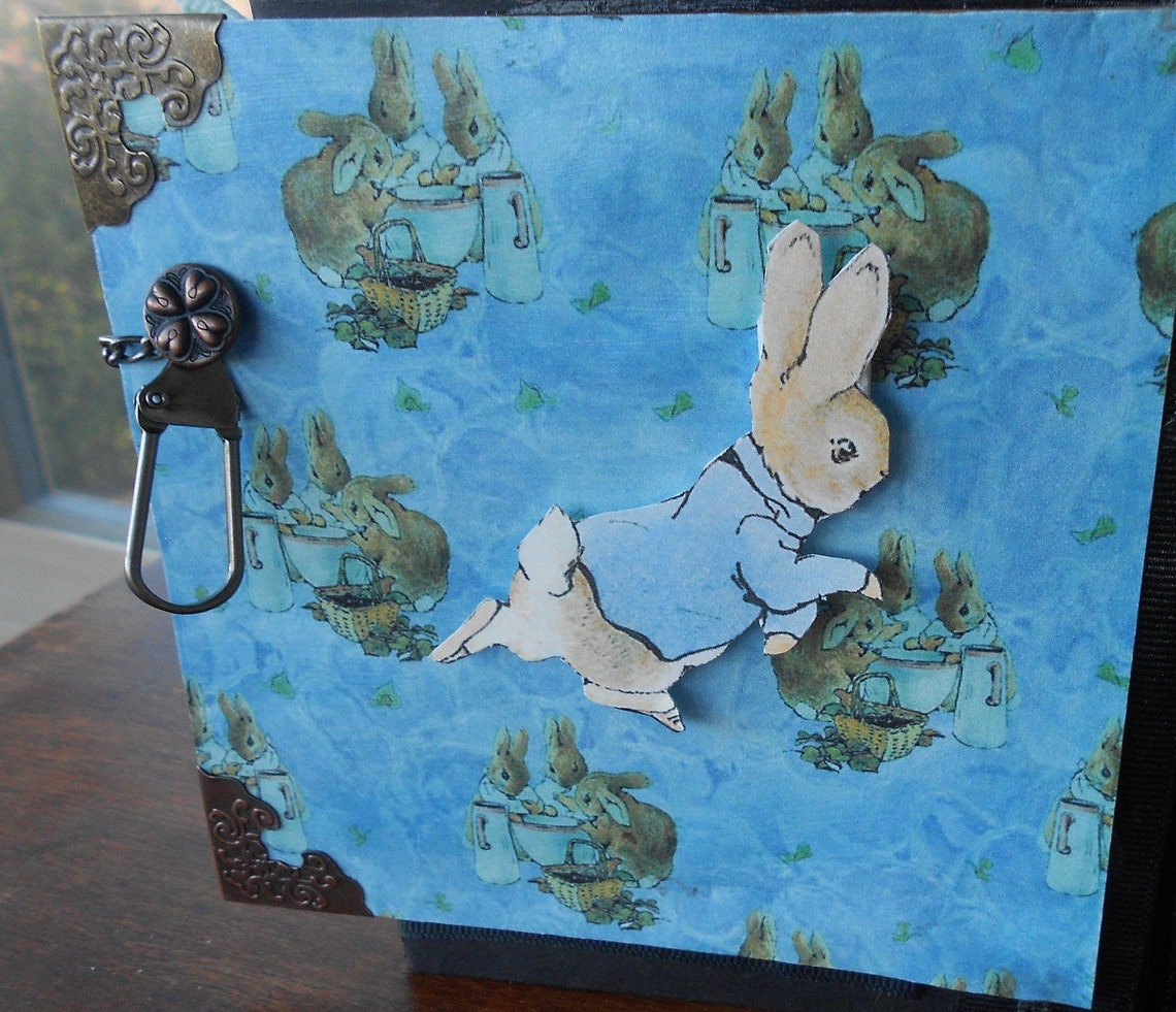 Peter Rabbit Baby Mini Album/journal - Etsy