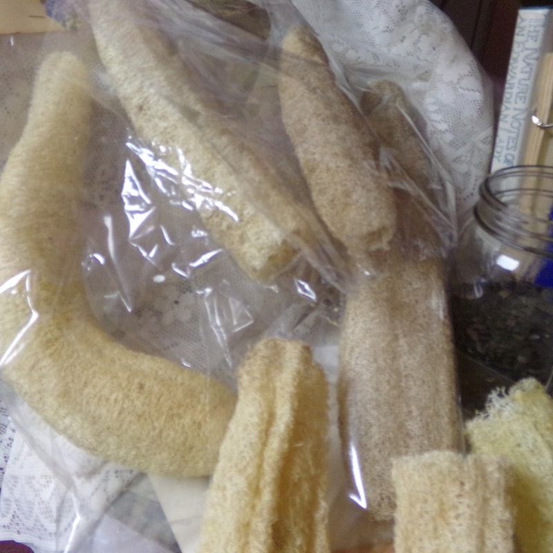 Luffa Sponge - Etsy