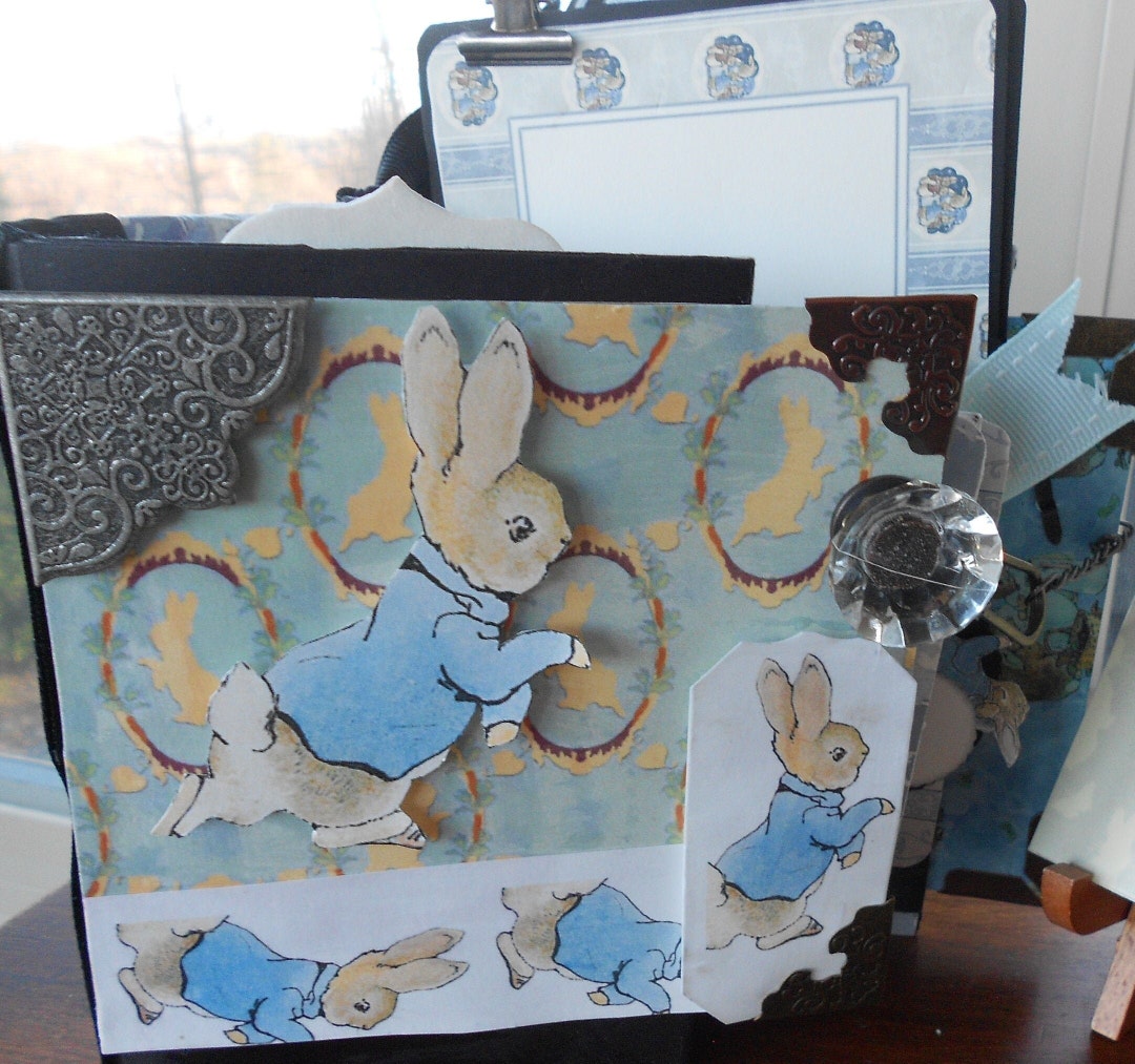 Peter Rabbit Baby Mini Album/journal - Etsy