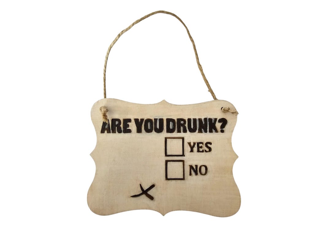 Funny Wooden Sign | Are You Drunk Sign | Bathroom Humor Decor | Bar ...