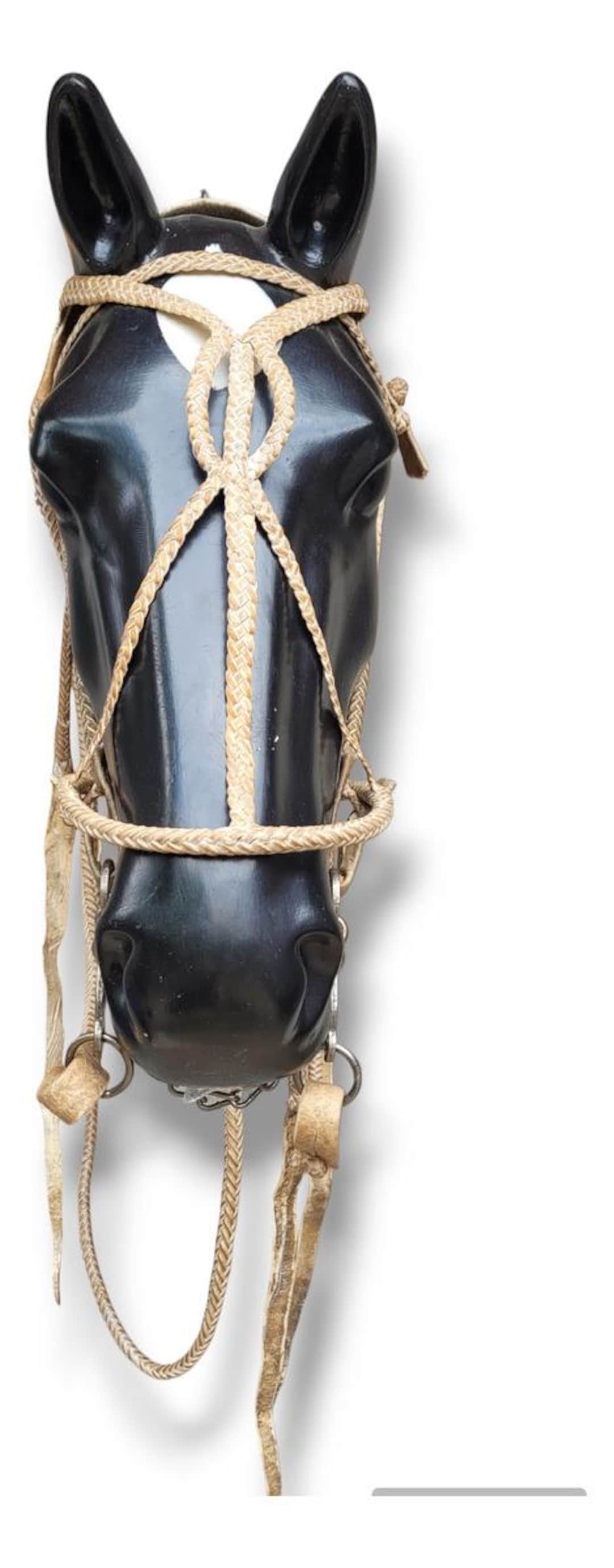 Argentina BRAIDED RAWHIDE BRIDLE Horse Headstall Rein Halter Leather ...