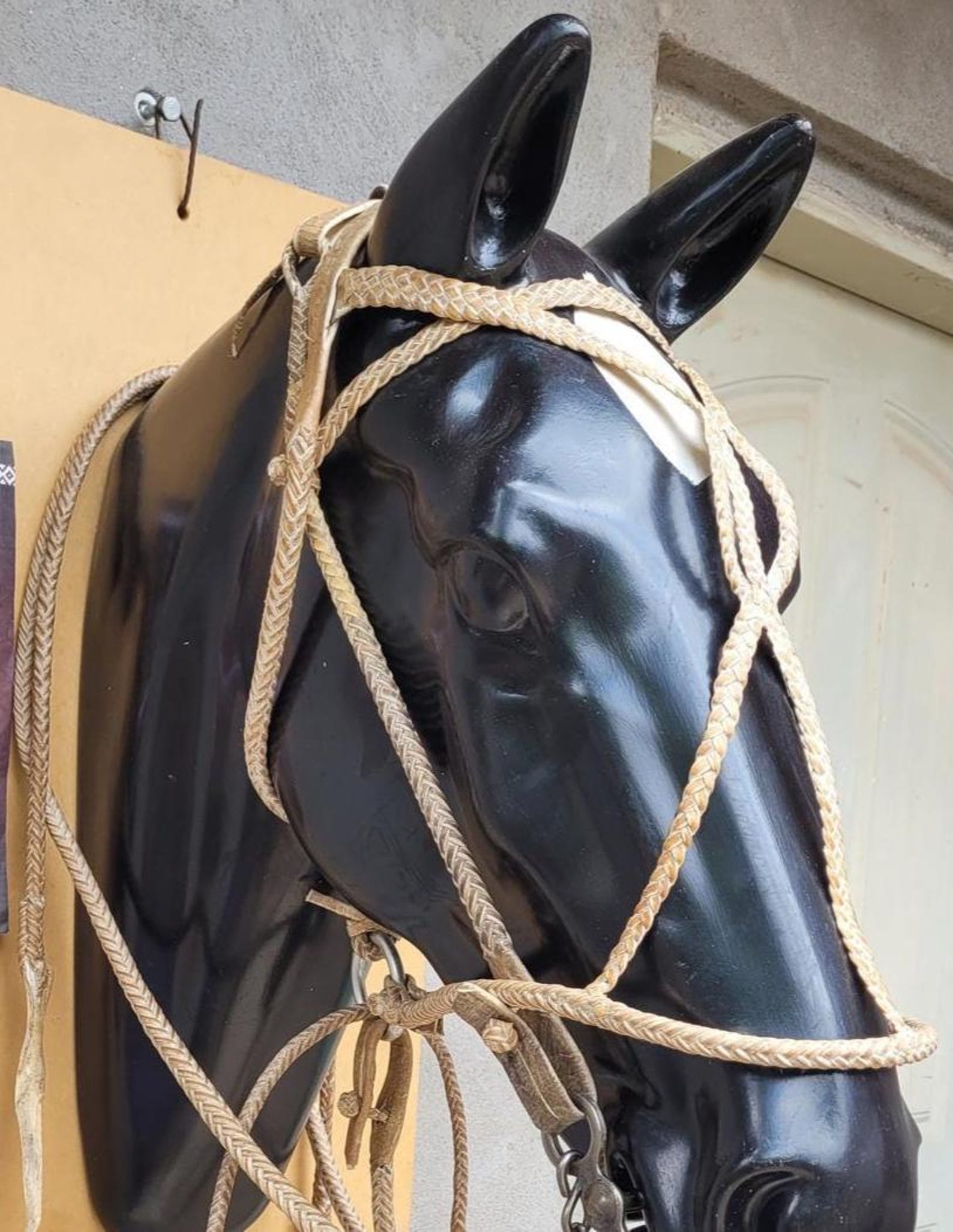 Argentina BRAIDED RAWHIDE BRIDLE Horse Headstall Rein Halter Leather ...