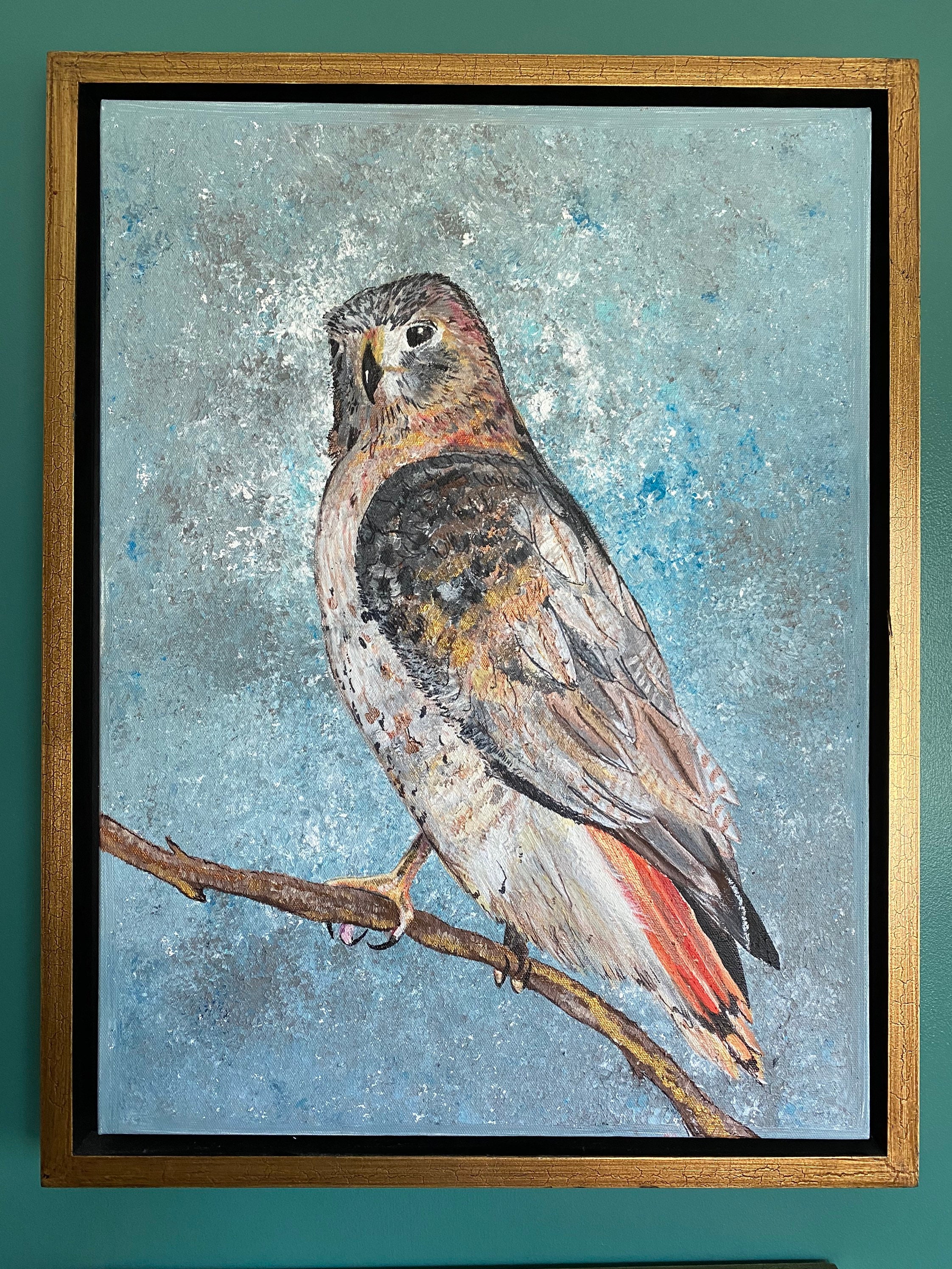 Original Bird of Prey Painting Red Tailed Hawk Woodland Flying | Etsy