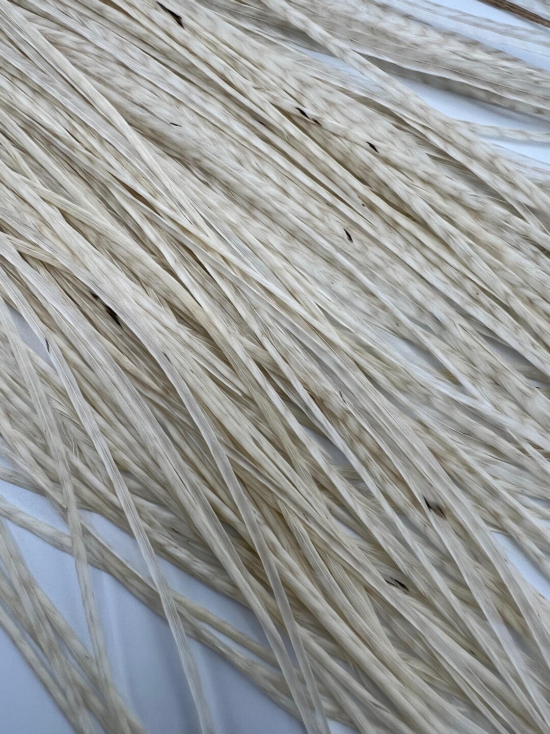 Ghost Grizzly Feather Hair Extensions | Choose Your Length up to 21 ...
